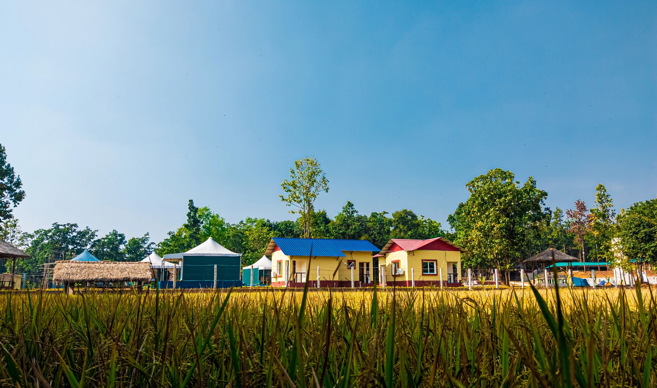 Experience the Ultimate Jungle Resort Adventure at Salbari Resorts