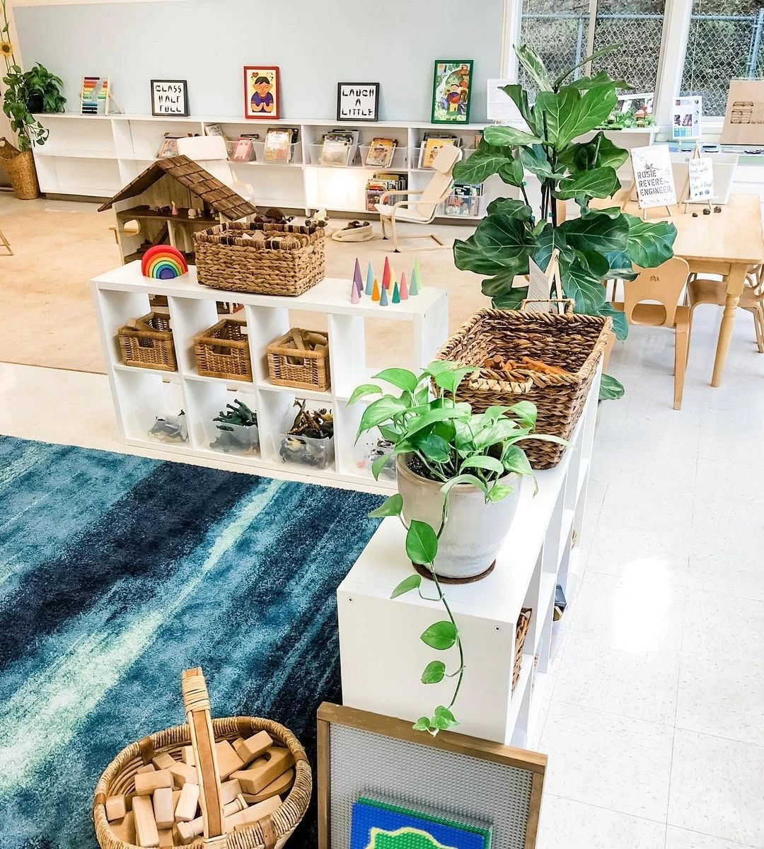 Plants in School
