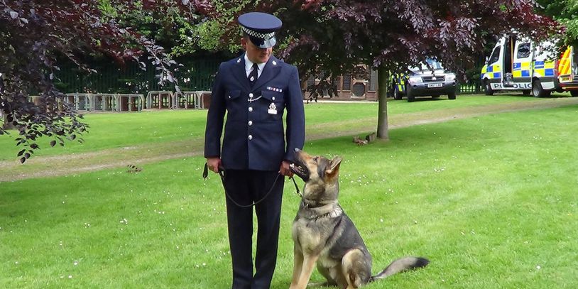 Dog Training Essex - ESSEX DOG TRAINING