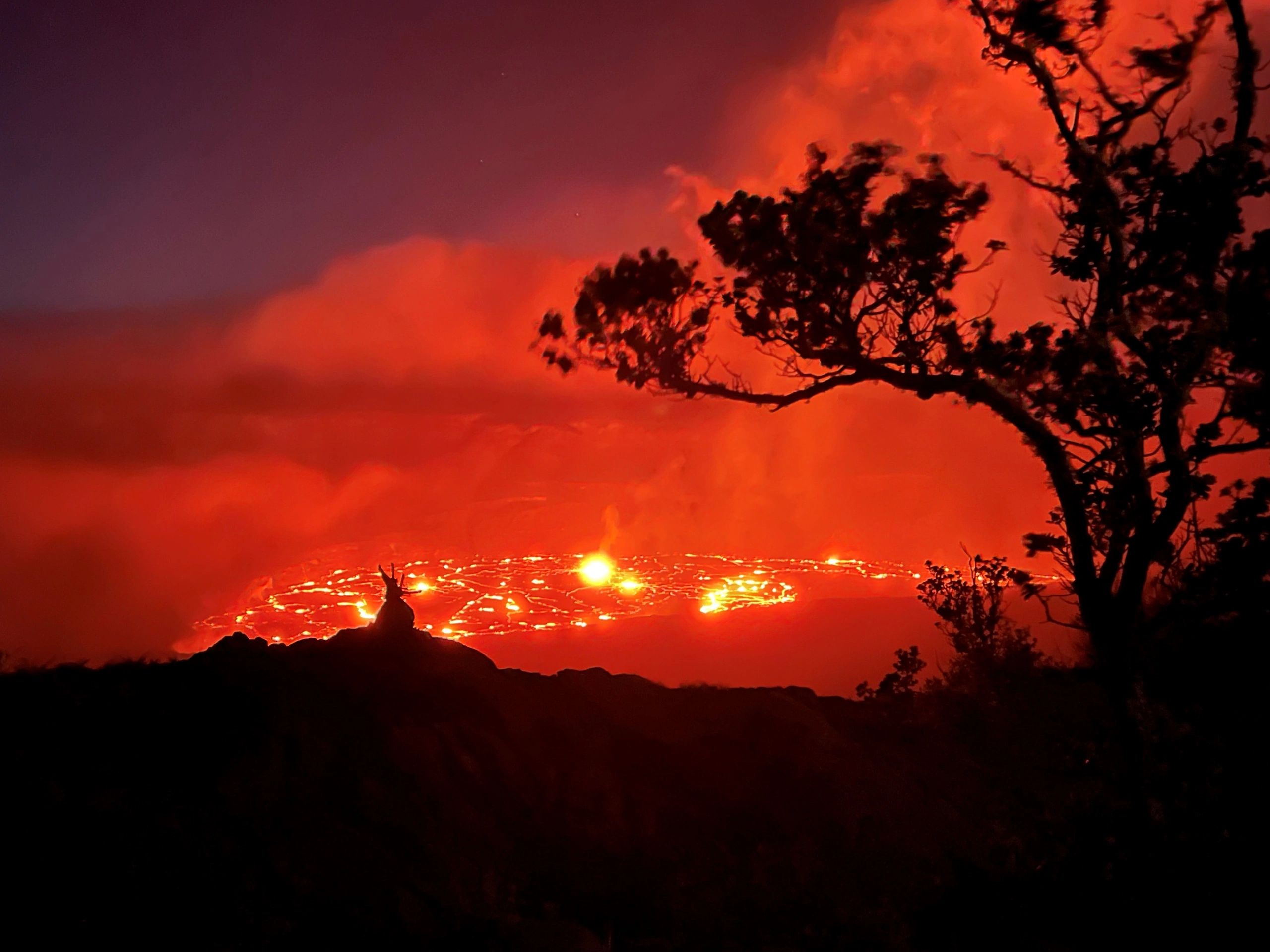 PRIVATE VOLCANO TOURS - Volcanoes and Lava, Tour-Guide, Private