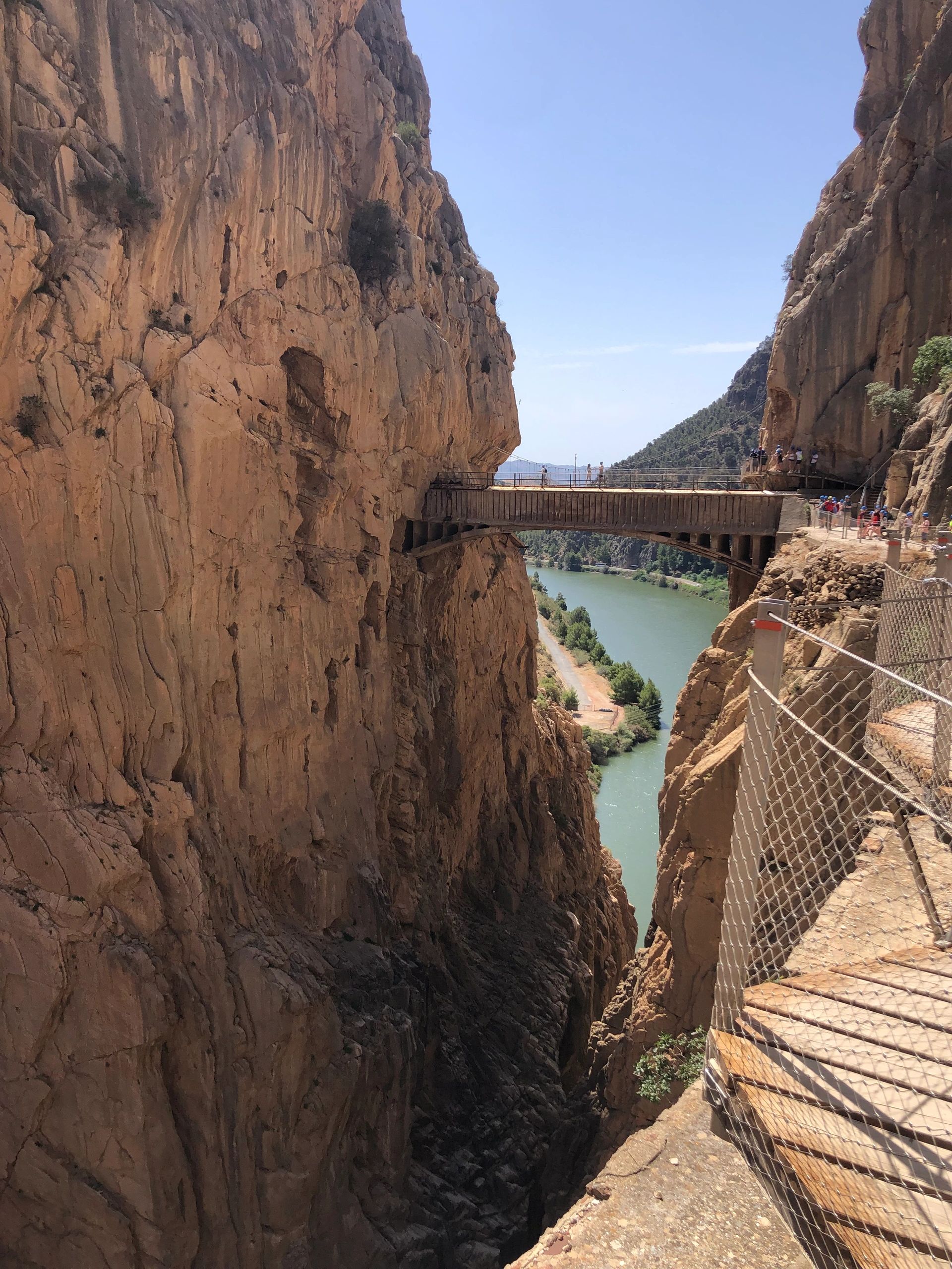 Visitors, Little Pathways, and Fighting Battles with Flowers