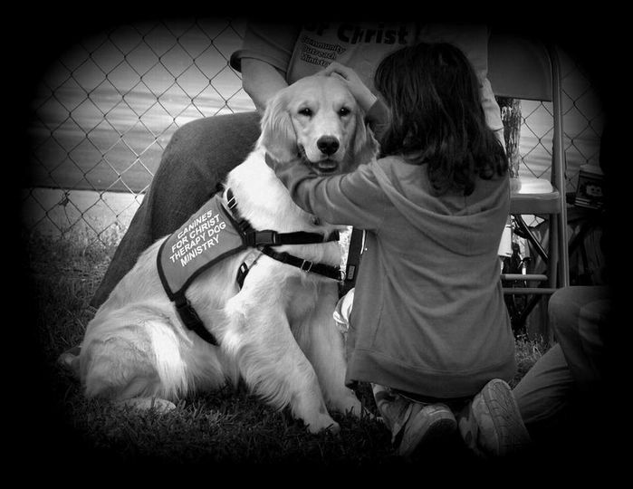 Jr Handler | Canines 4 Christ