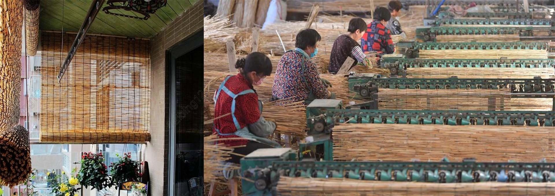 Reed fence, reed curtain
