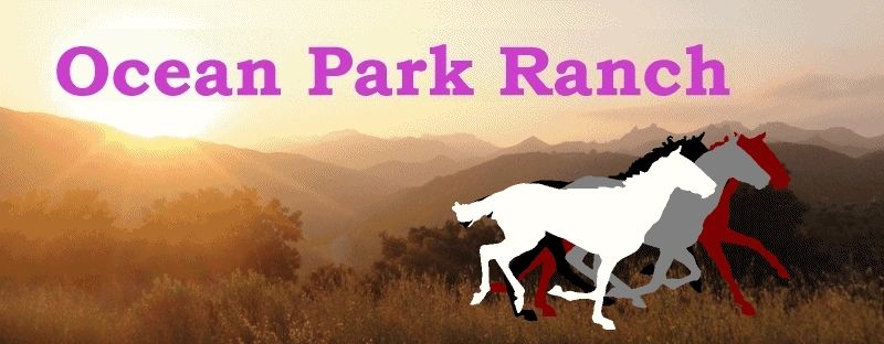 Home Page [oceanparkranch.com]
