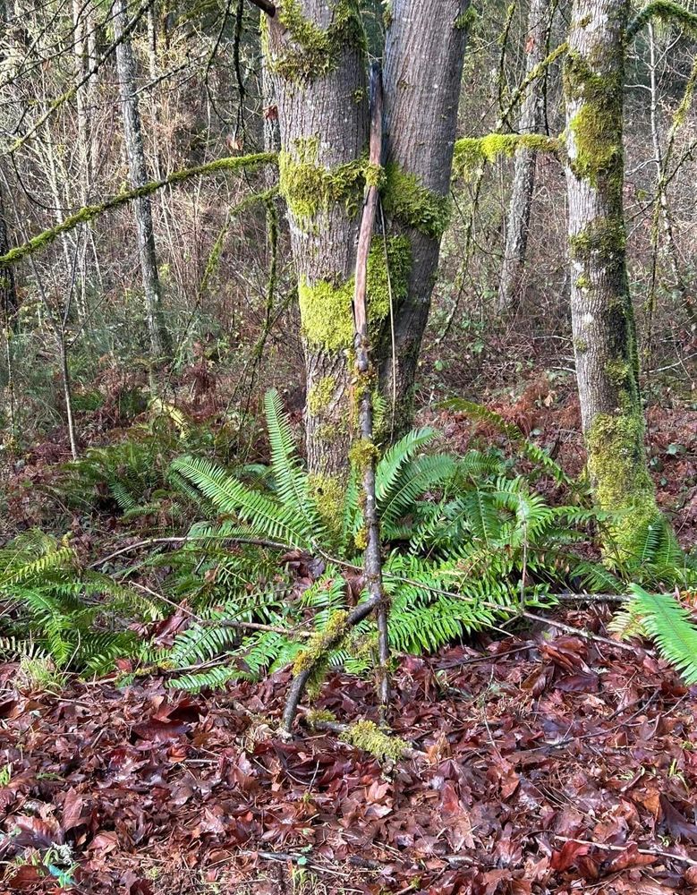 Unique Stick and Stone Art Creations | Crystal Energy Designs