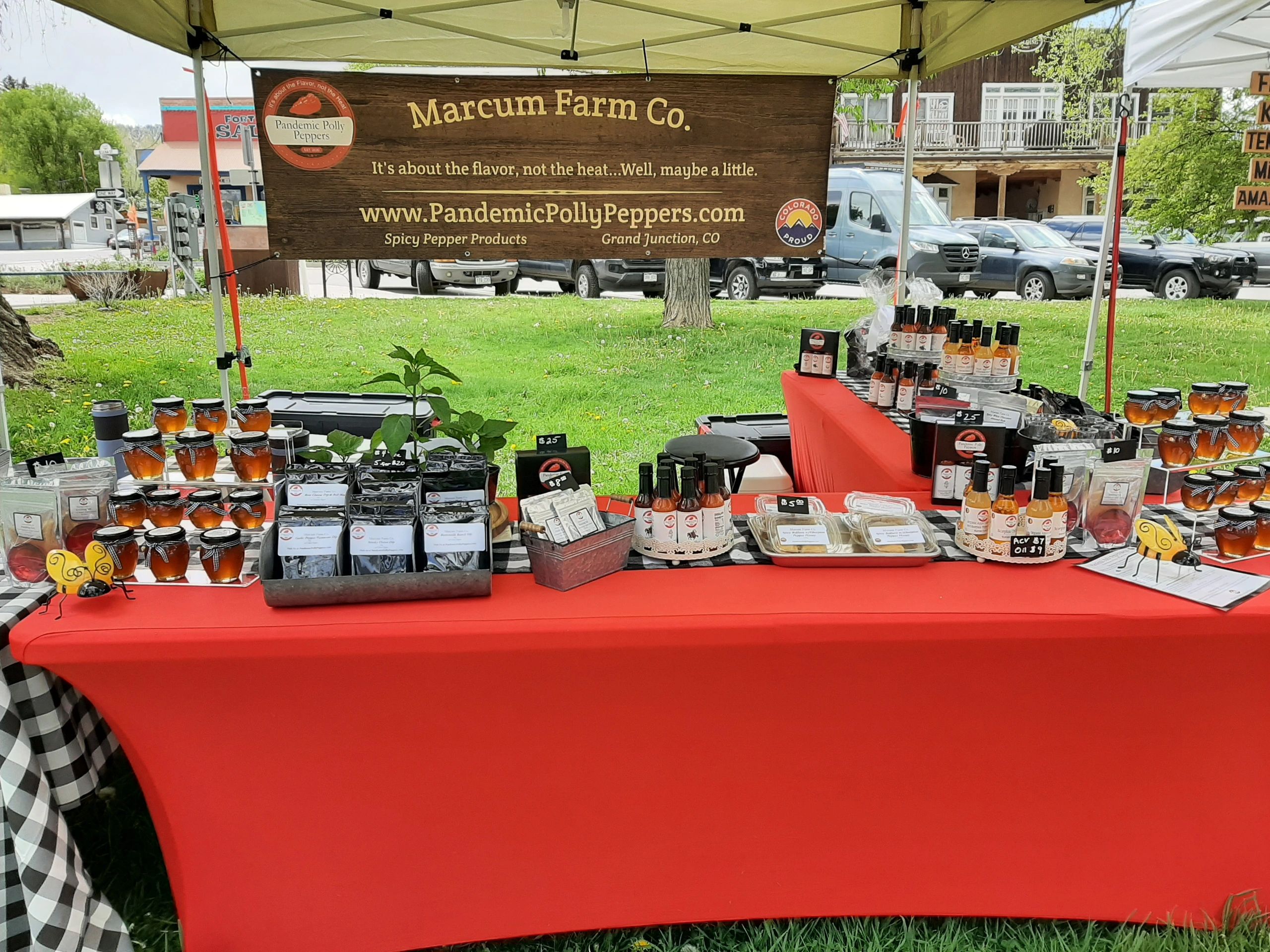 Pandemic Polly Peppers