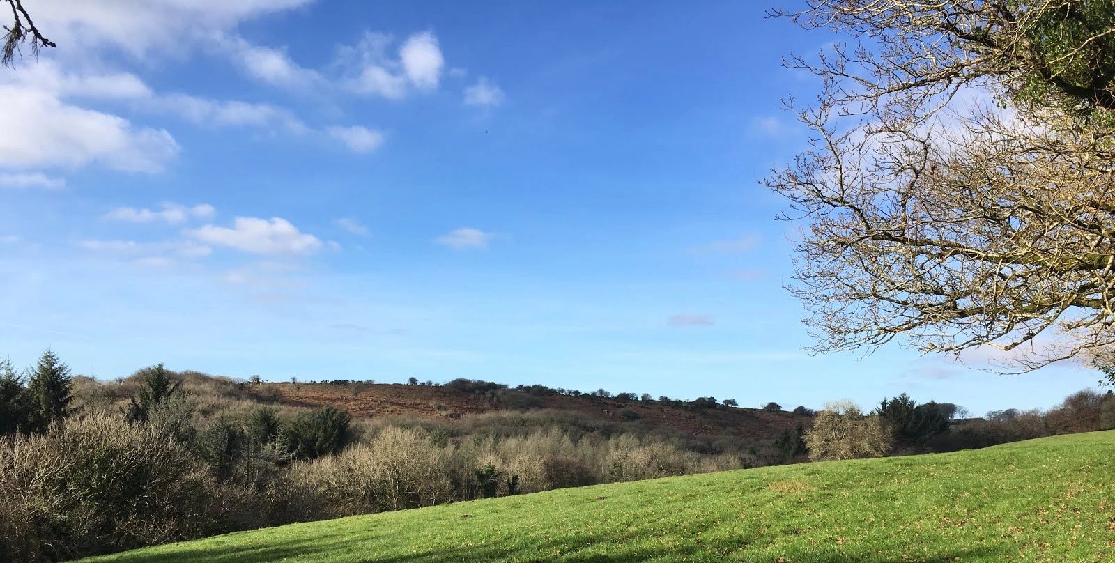 Tamar Valley Association for Shooting and Conservation