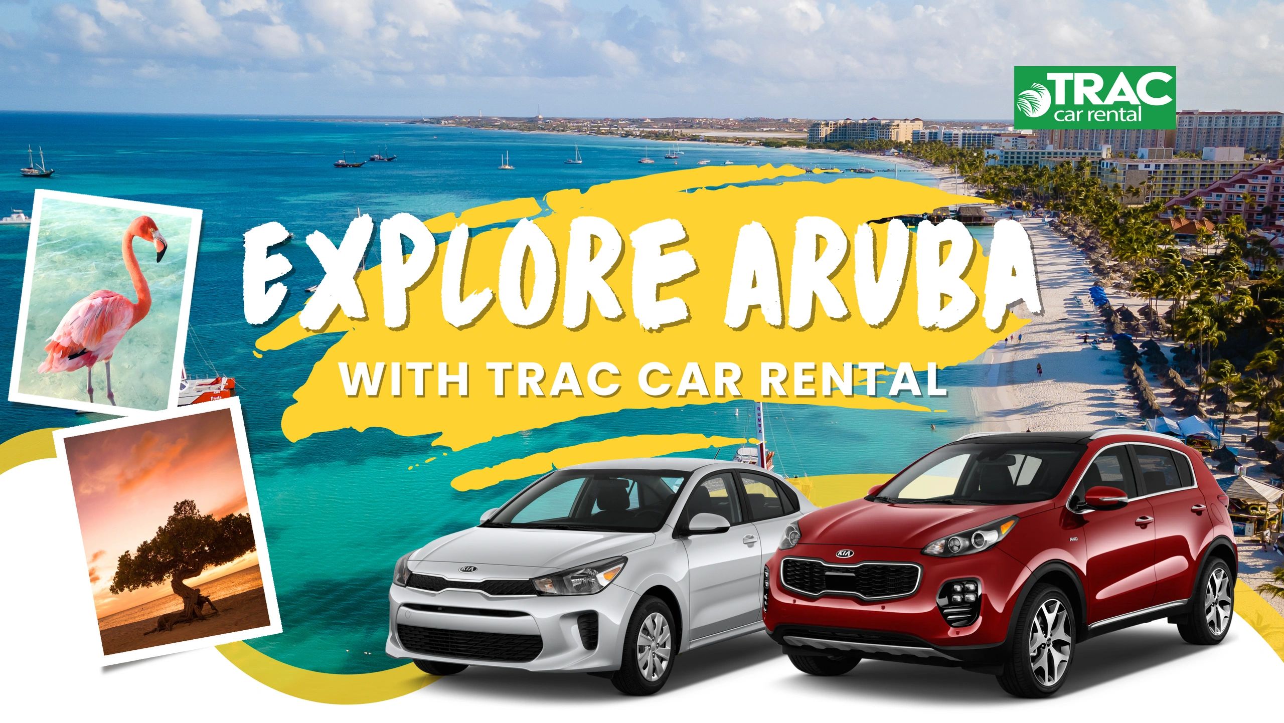 Trac Car Rental Aruba