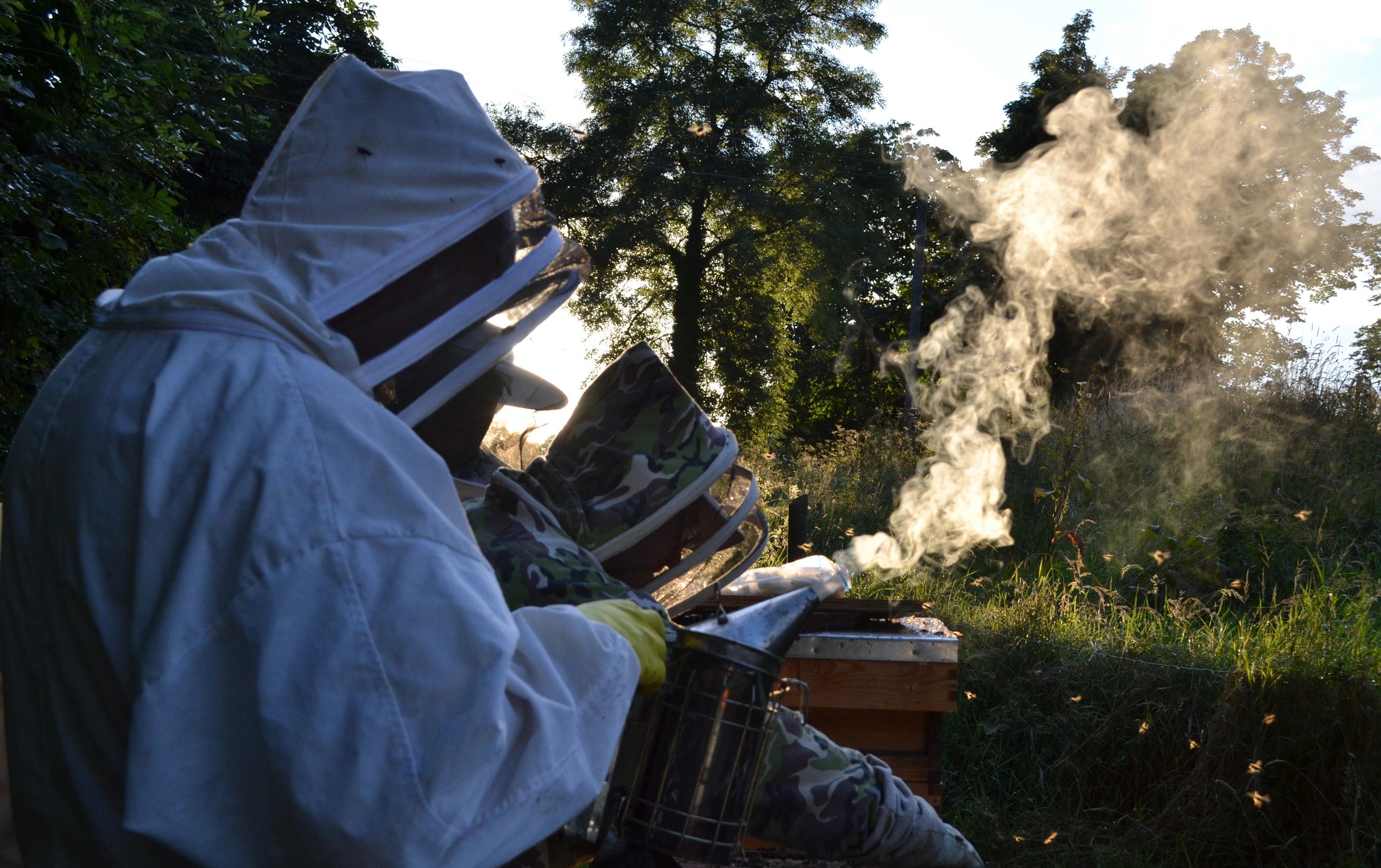 International Meeting of Young Beekeepers 2026 - Northern Ireland