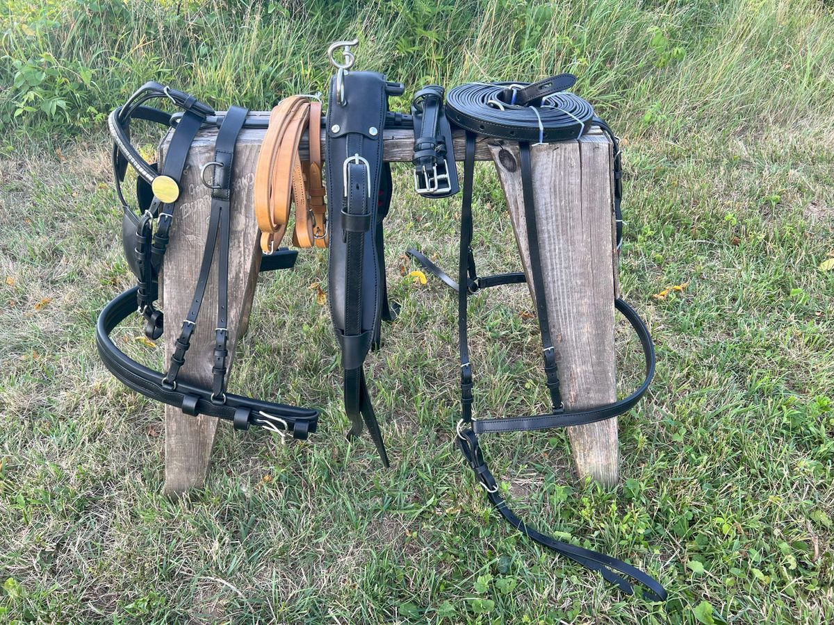 Premium All Leather Driving Harness Black Stainless Steel