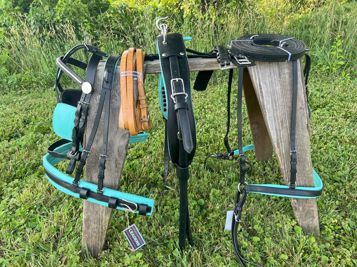 Premium All Leather Driving Harness with Turquoise Padding/Accents