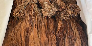 Best Tobacco, Best Fronto, Best Crush Grabba