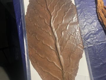 Best Tobacco, Best Fronto, Best Crush Grabba