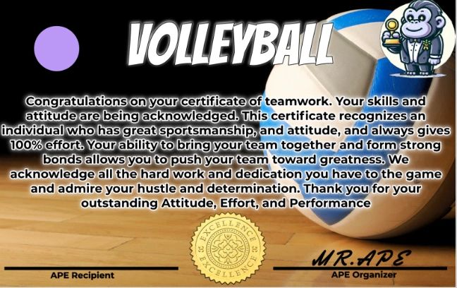 APE VOLLEYBALL AWARD