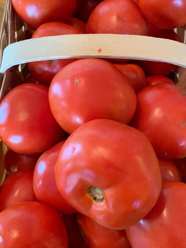 Spencer Farm - Market - Noblesville, Indiana