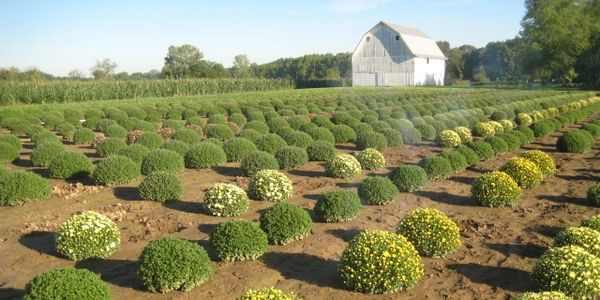 Our Story | Spencer Farm