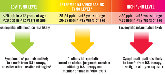 pft at ALLERGY & ASTHMA | pft at ALLERGY & ASTHMA