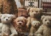 Posh Poos - Maltipoo, Cavapoochon, Puppies