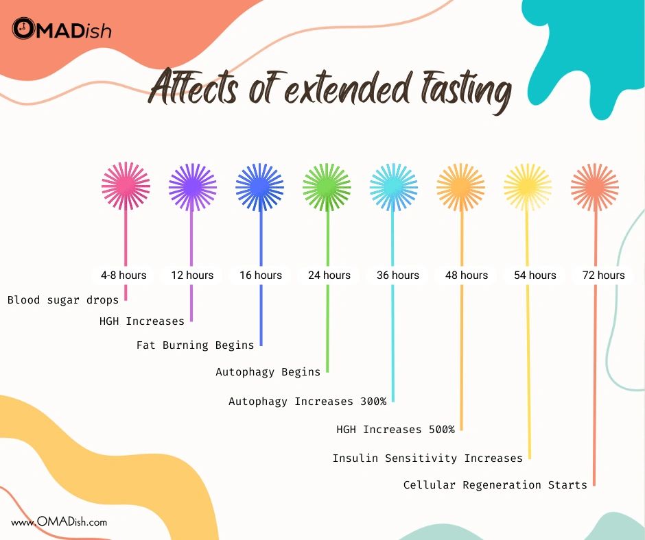 Unlocking the Power of Extended Fasting: Beyond the 24-Hour Mark