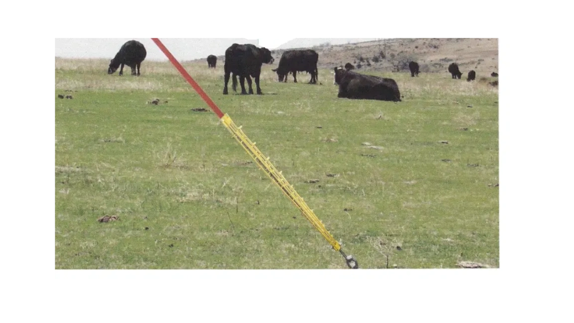 Guy Wire Cattle Guard