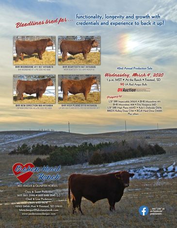 PAST SALES | Pederson Broken Heart Ranch