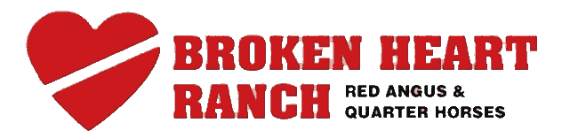 Pederson Broken Heart Ranch - Red Angus, Quarter Horses