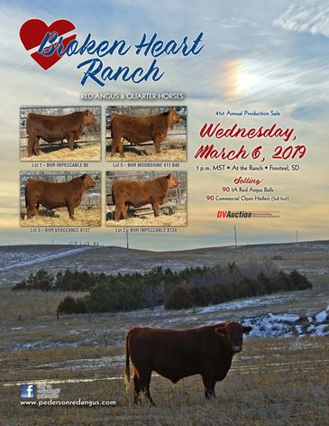 PAST SALES | Pederson Broken Heart Ranch