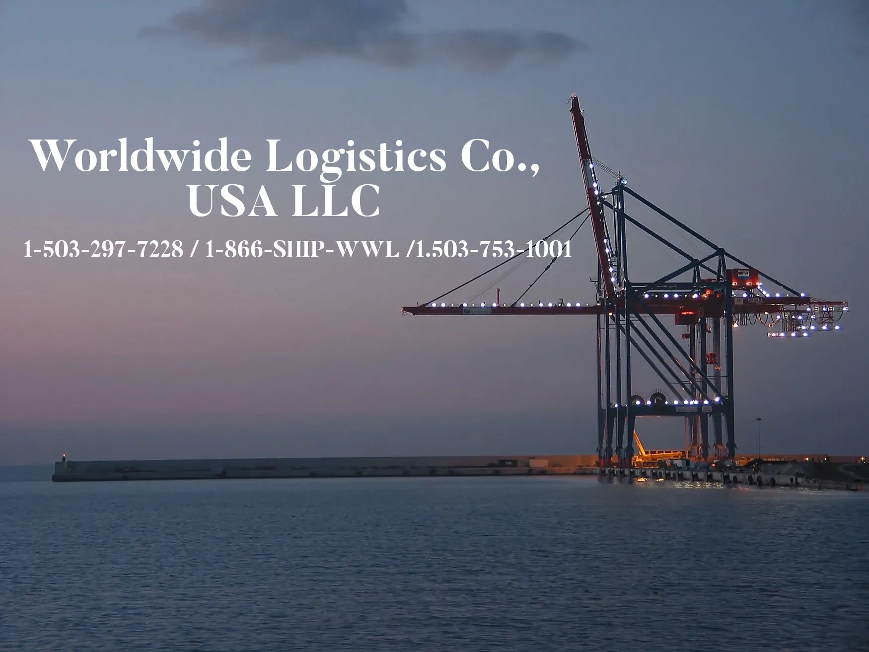 Worldwide Logistics Co., USA LLC