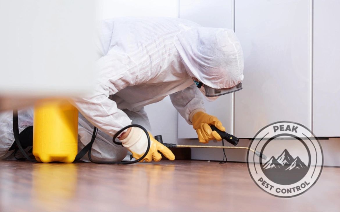 Peak Pest Control - Expert Solutions for Your Pests
