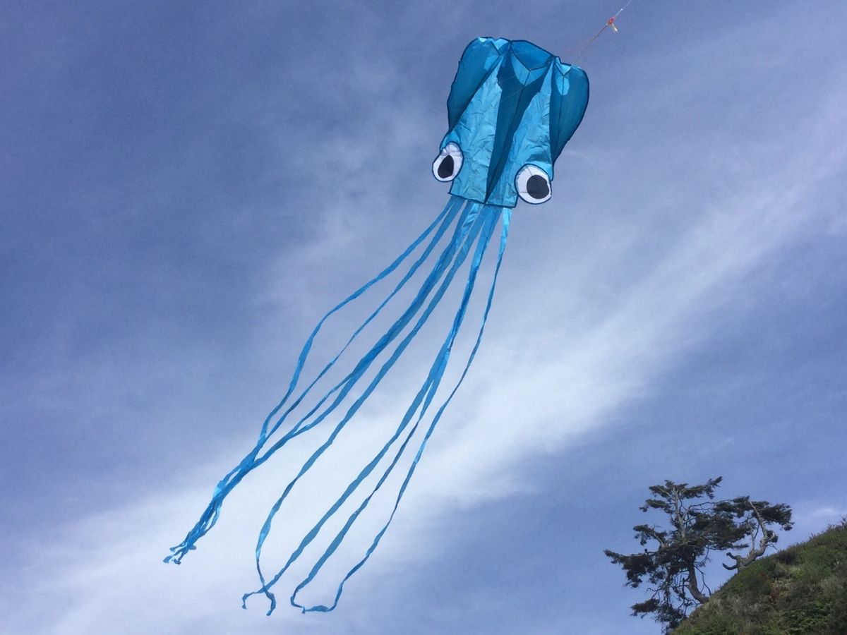 Octopus Pocket Kite