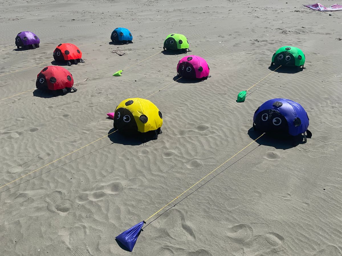 Ladybug Ground Bouncer