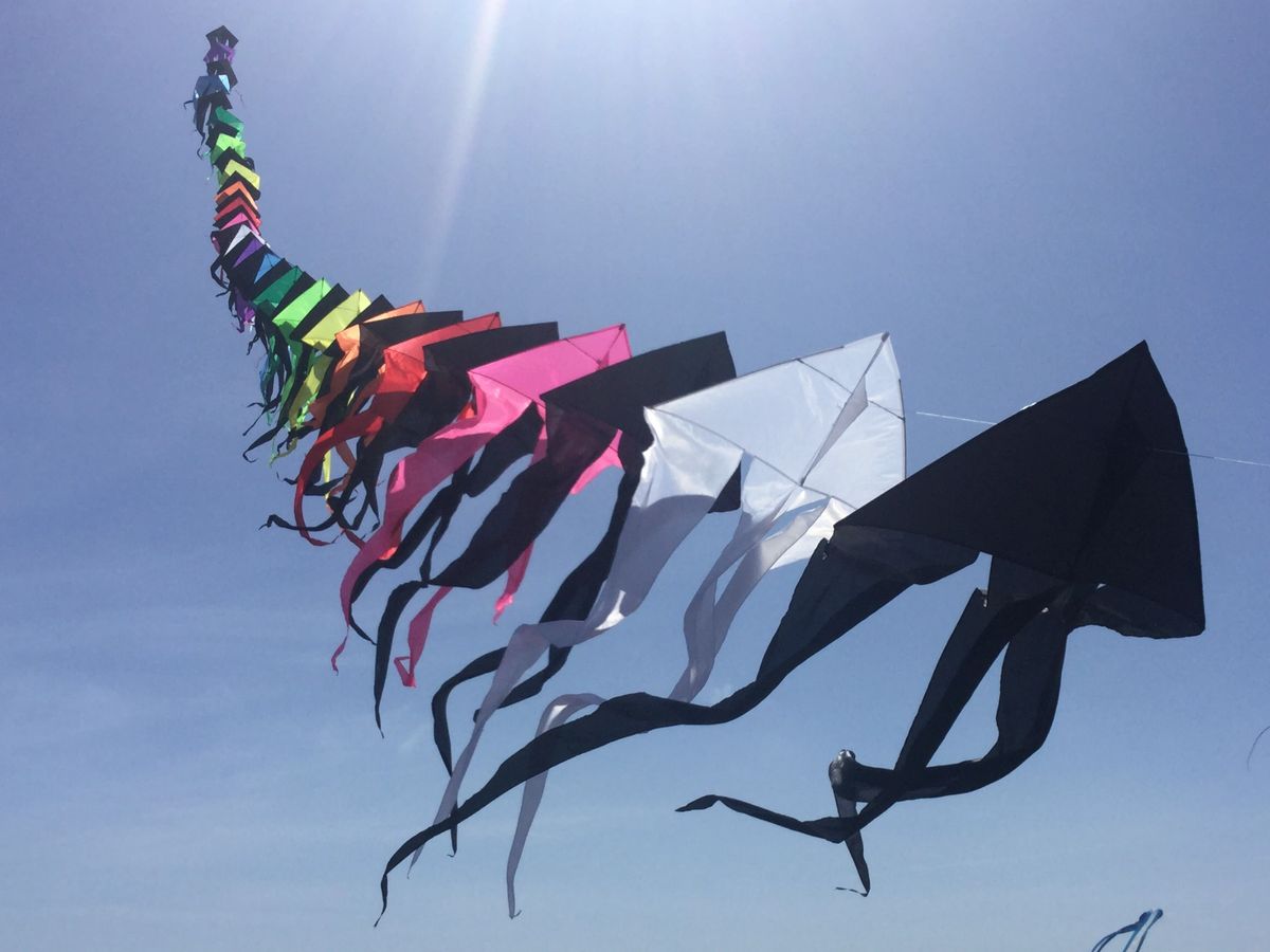 Triple Tapered Tail Delta