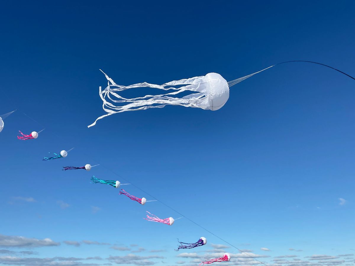 6.5ft Jellyfish Windsock