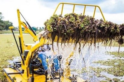 Aquatic Weed Removal Service - Pond Weed Removal