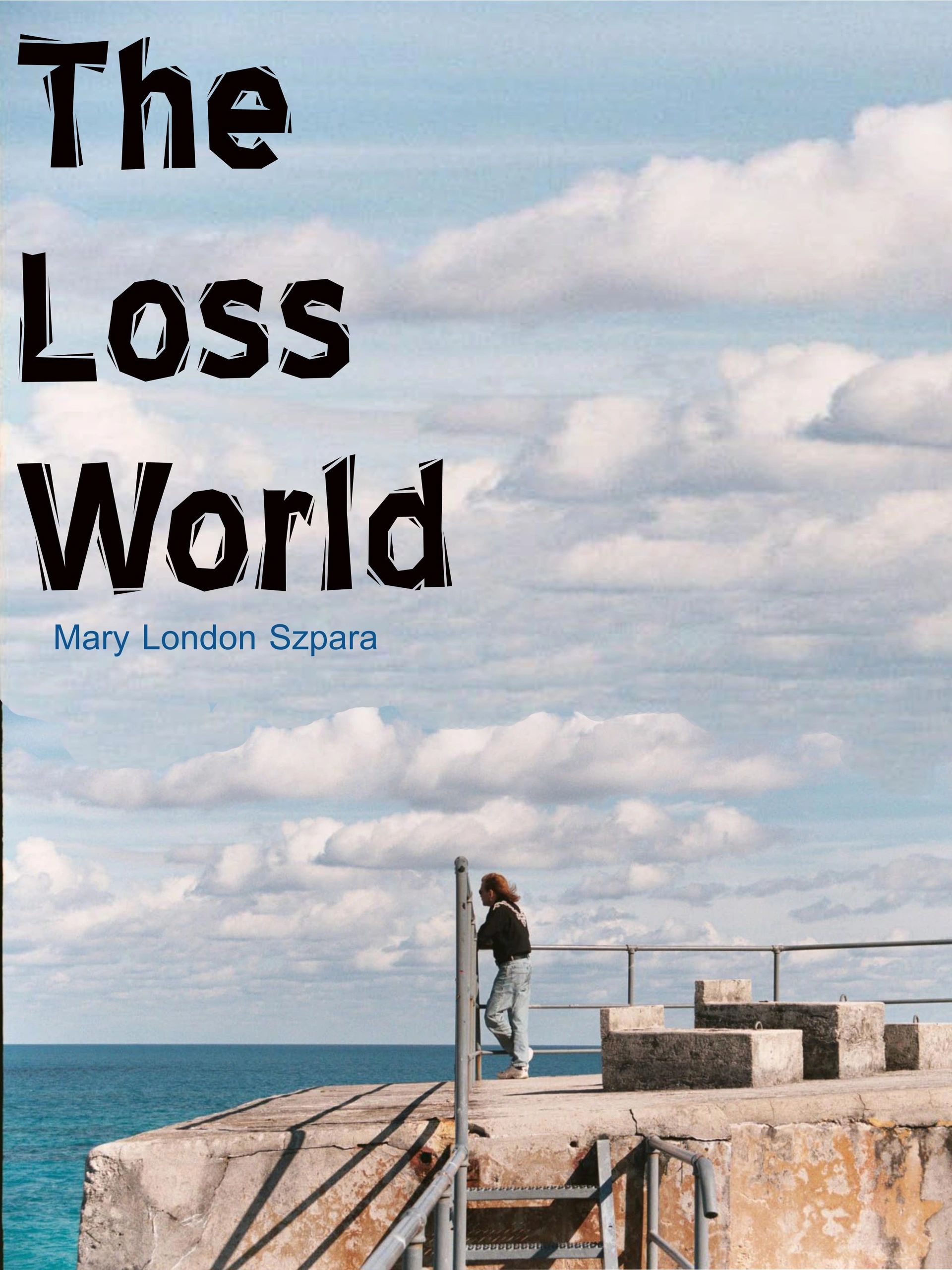 The Loss World - Surviving Grief Book, Book, Stage Play