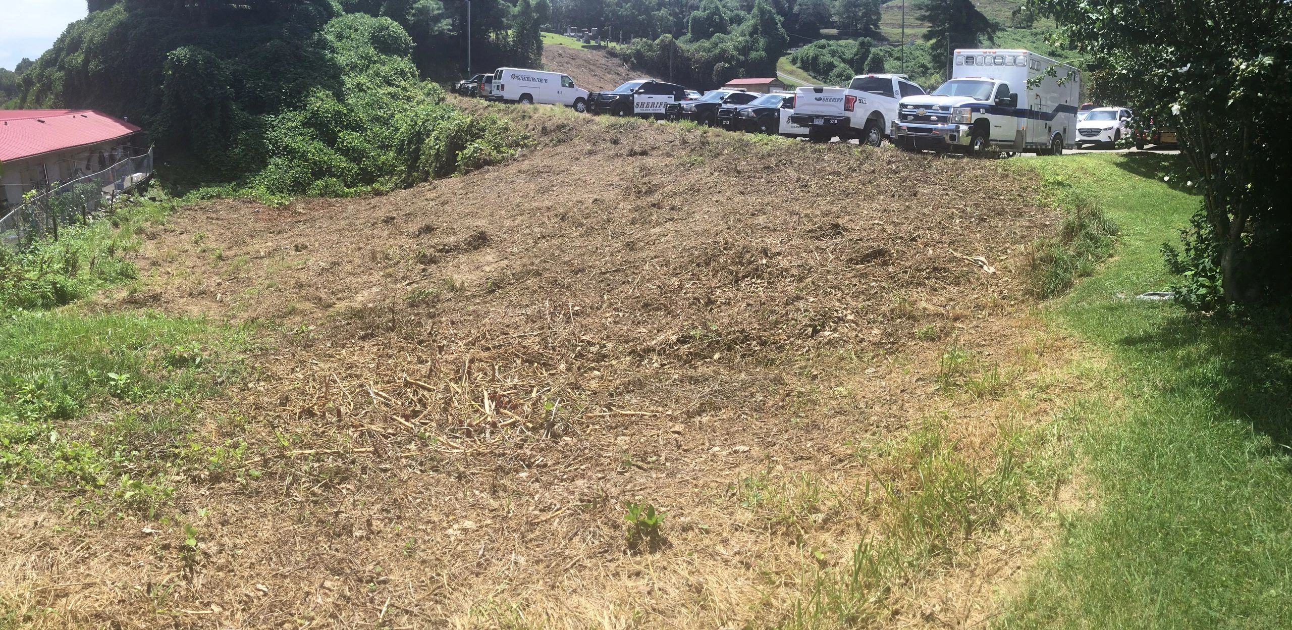 Kudzu Covers Ellijay Graves
