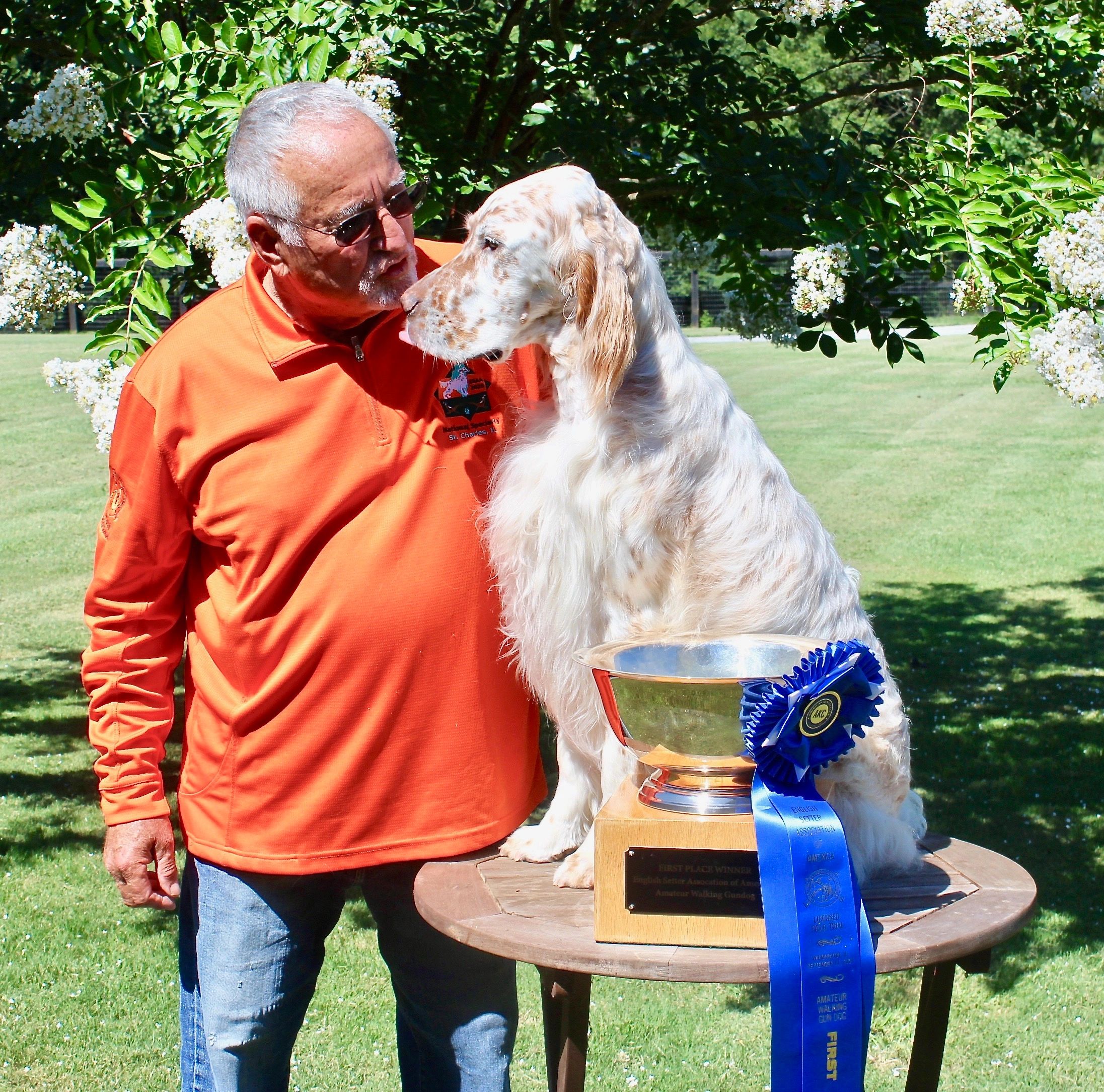 PineWalker English Setters - English Setters, English Setter Breeding ...