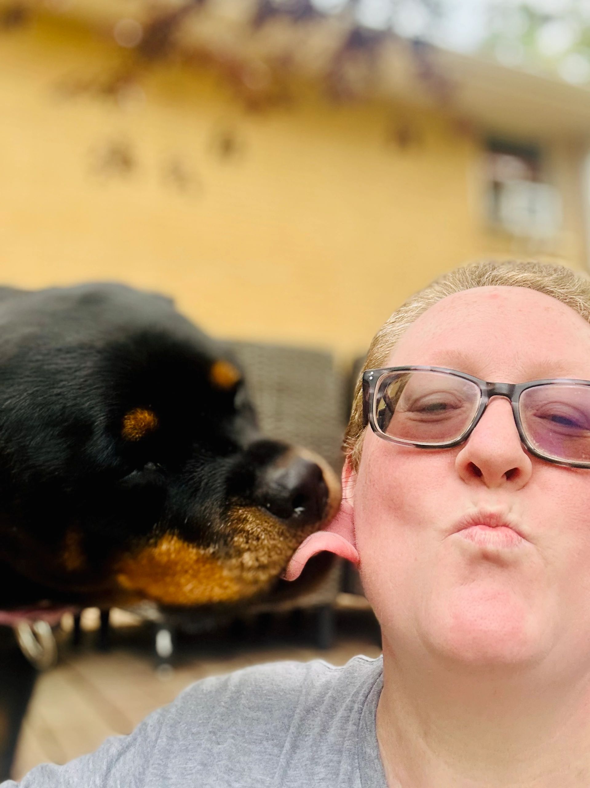 Current | The Pet Nan