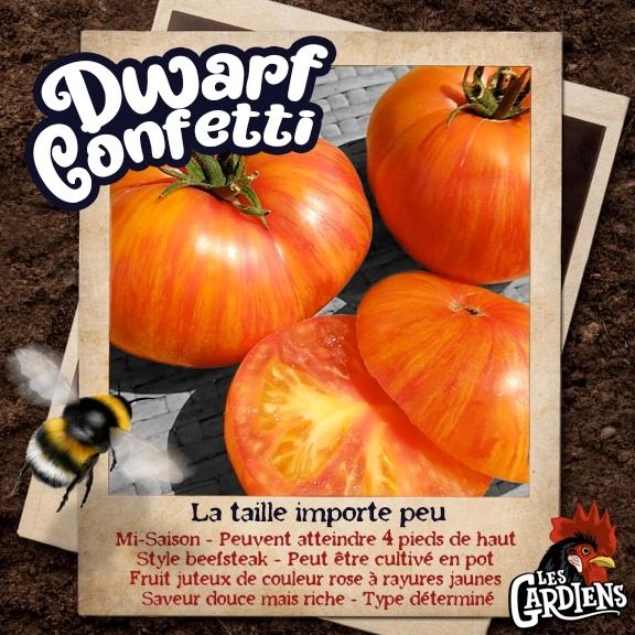 Semences de tomates dwarf confetti