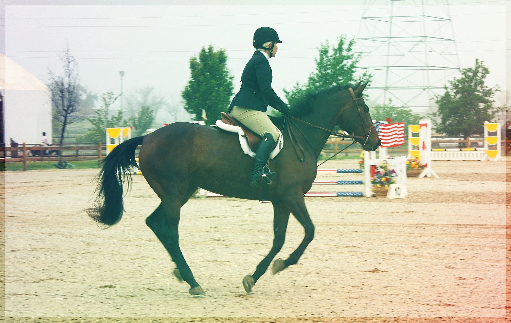 Gemini Equestrian - Horseback Riding - Herald, California