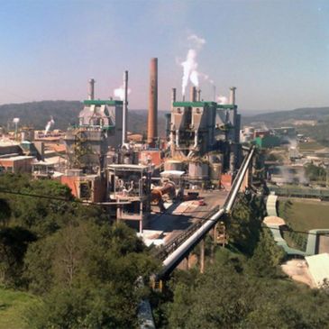 PUPID - Pulp & Paper Industry Division