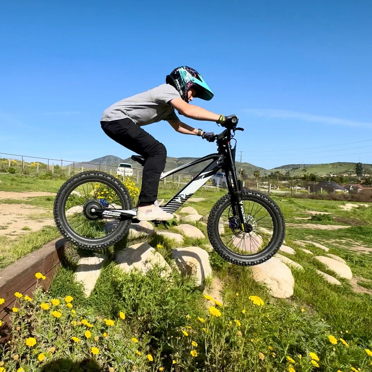 Voltaic Flying Fox Bike 20"