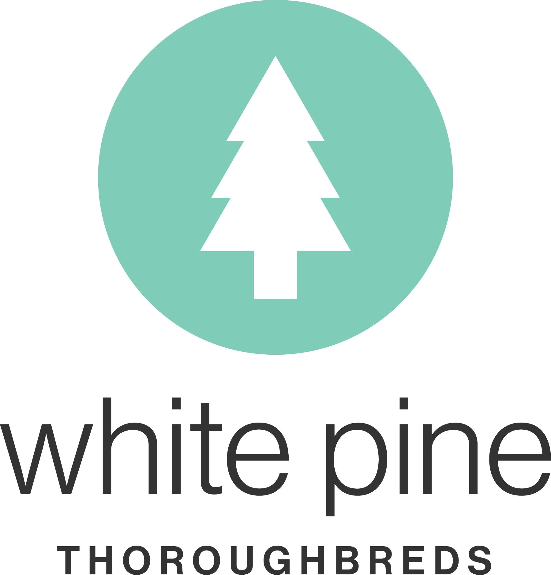 Racehorse Training - White Pine Thoroughbreds