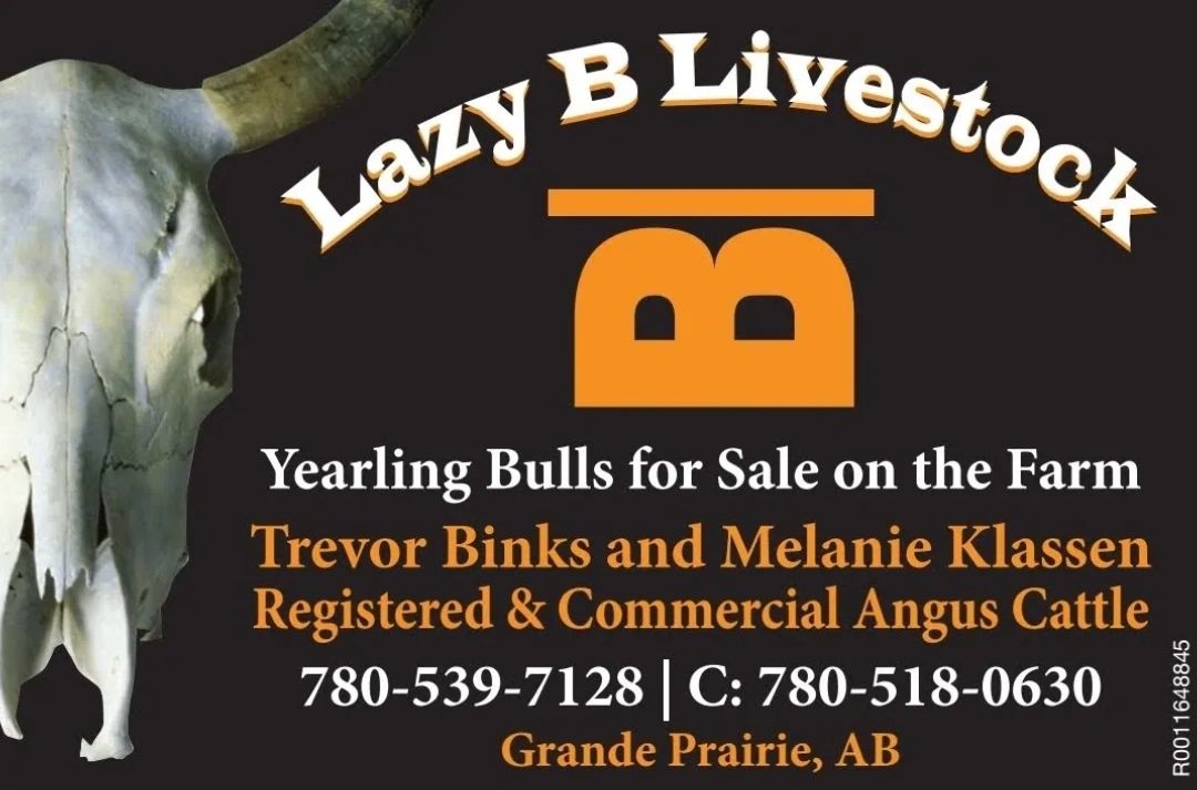Lazy B Livestock - Angus, Cattle