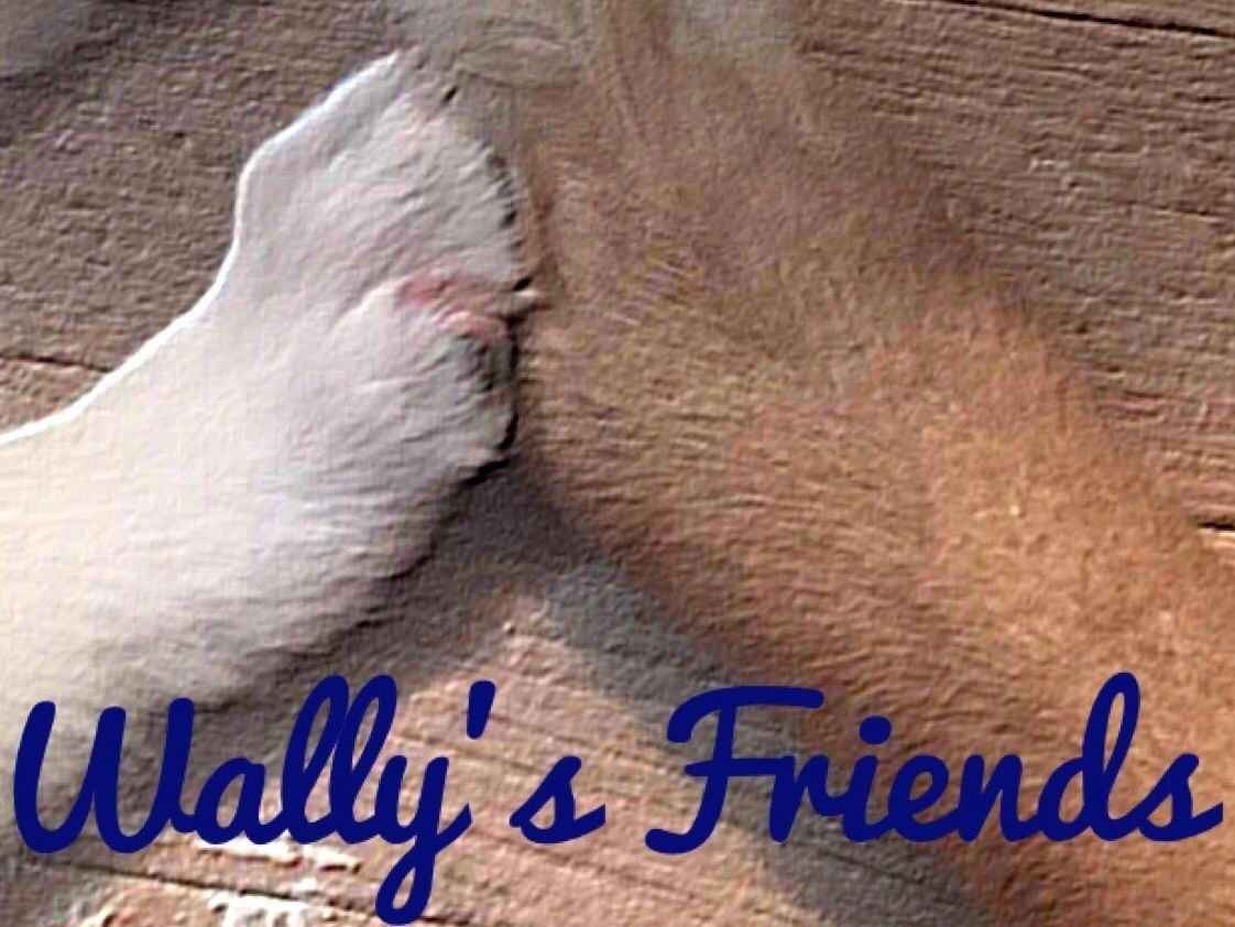Wally's Friends