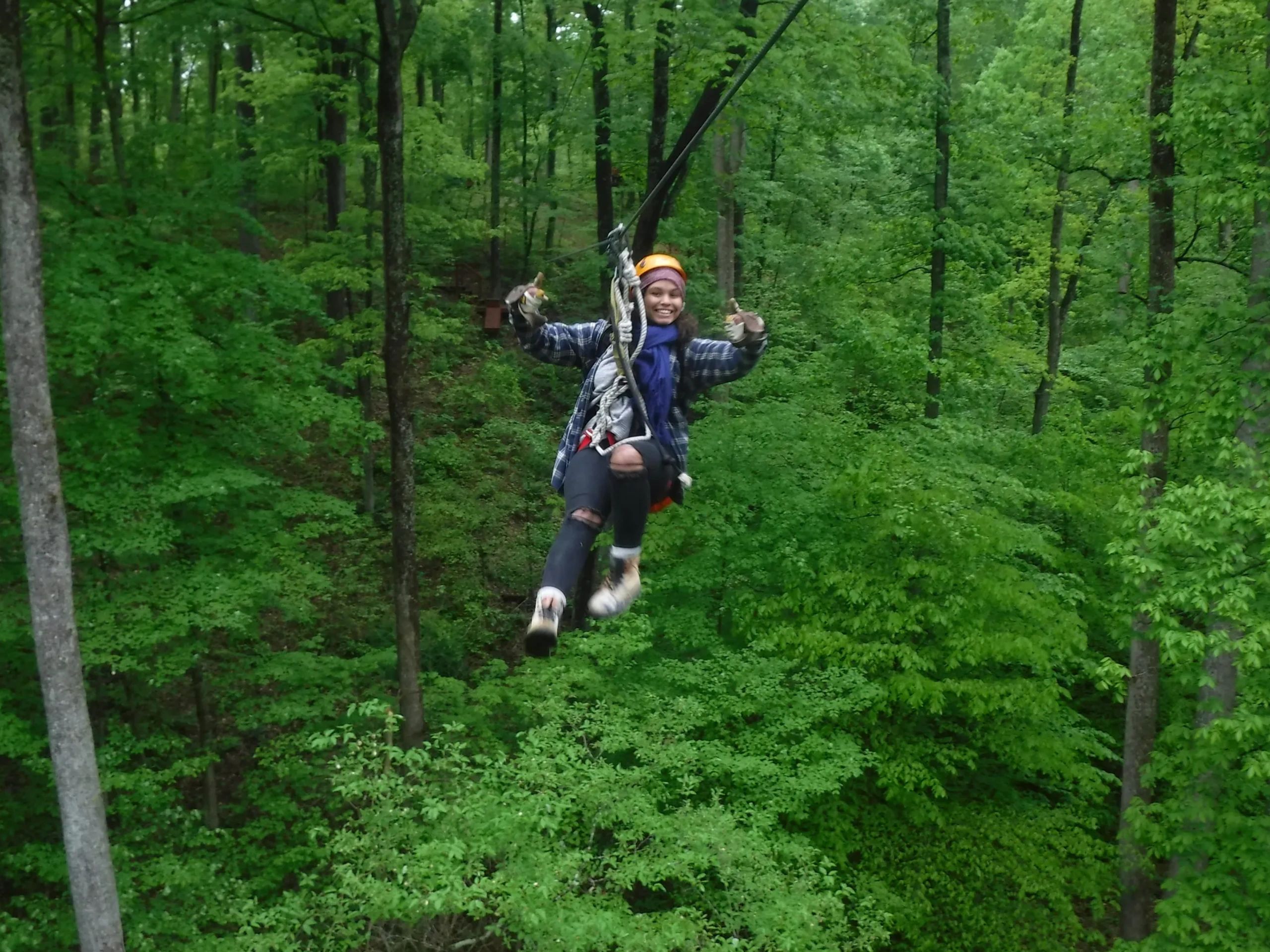 Zip Lines