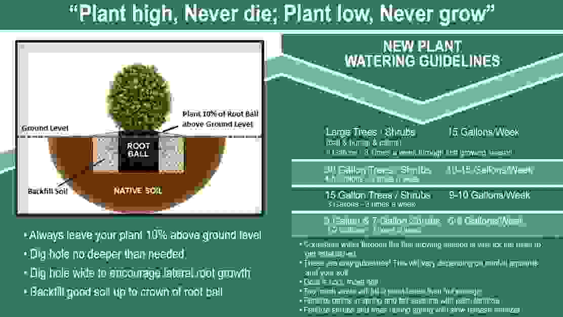 Planting Guidelines | Hughes and Hughes Nursery