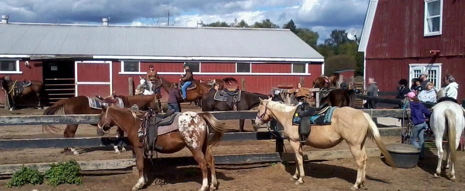BRIGHTON RECREATION RIDING STABLE - Horseback Riding, Riding Stable