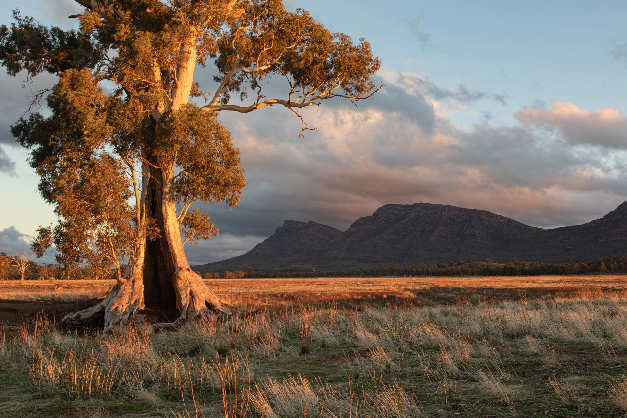 Landscape Prints for Sale | Southern Inspirations Photography