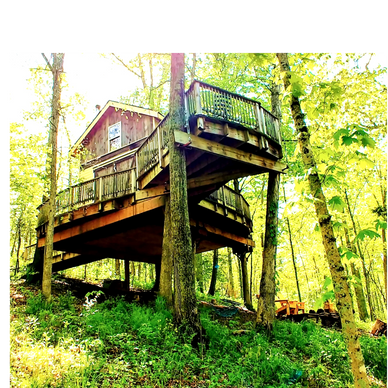 EarthJOY Village - Tree House Vacation Rental, Outdoor Adventures and ...
